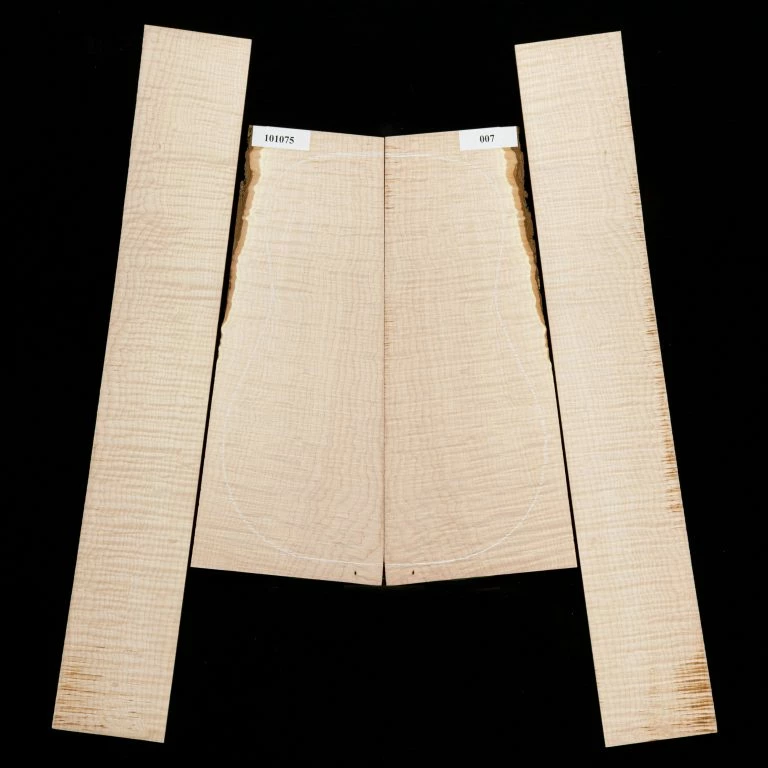 guitar string shop - We'll track the Flame Big Leaf Maple Back + Side ...